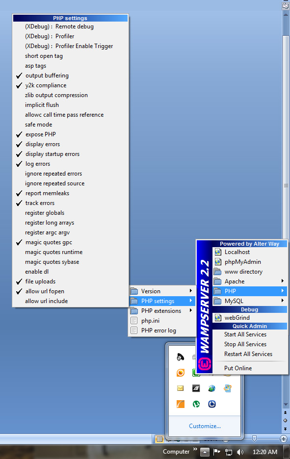 Wamp Server Setup Guide