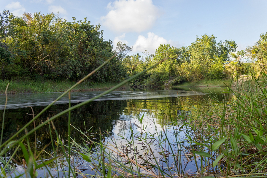 Lake Capoey – Essequibo Coast